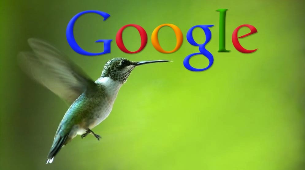 Should You Be Worried About Google Hummingbird?